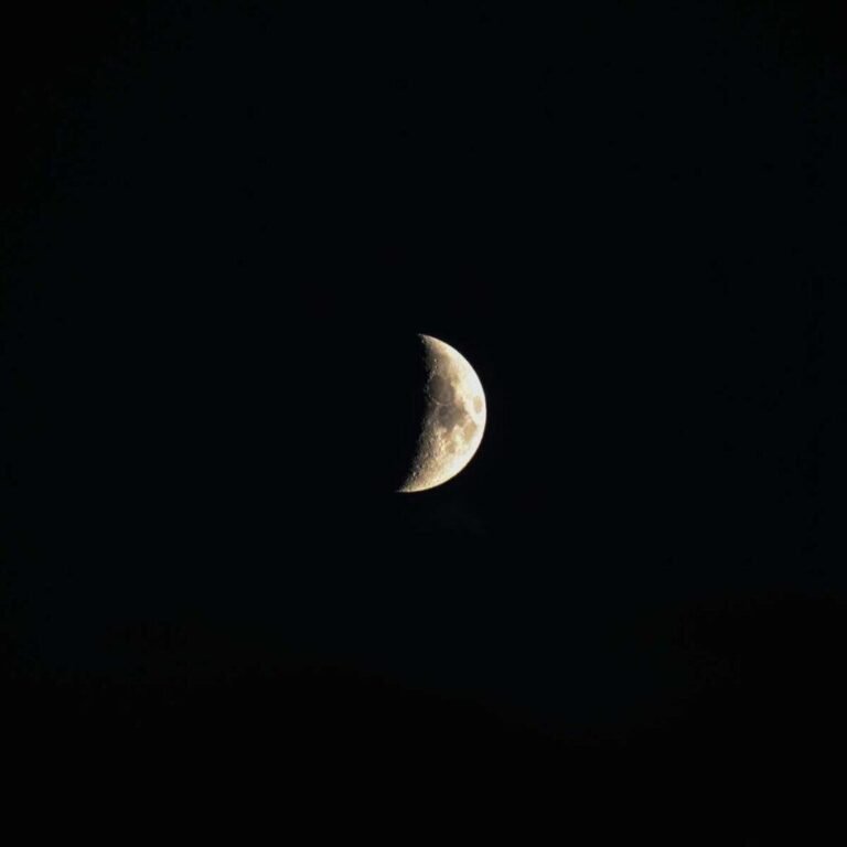 Plaukų kirpimo ir dažymo mėnulio kalendorius 2025 metais - cik.lt